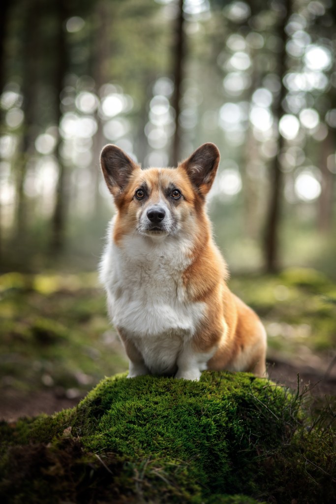 Nina Guiking Photography